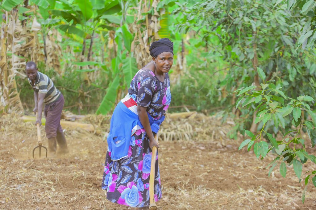 Scholarship Program – REAP Rwanda – Official Website