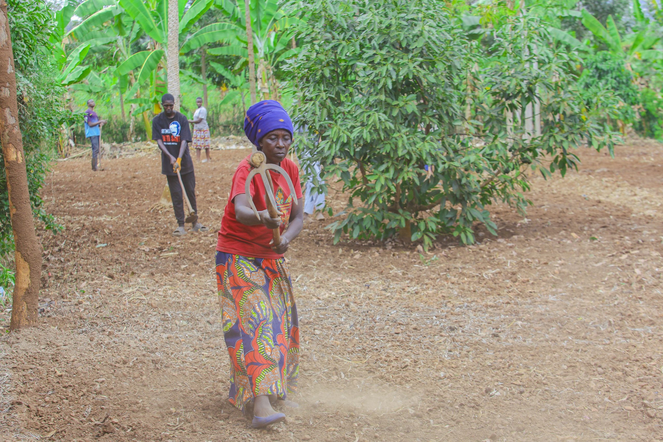 Scholarship Program – REAP Rwanda – Official Website